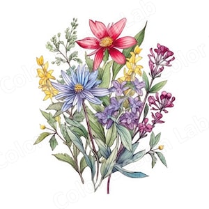 Wildflower Sketch Printable Clipart, 8 High-resolution PNG Art Images ...