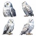 Snowy Owl Bundle Set of 8 High-resolution Snowy Owl Printable Clipart ...