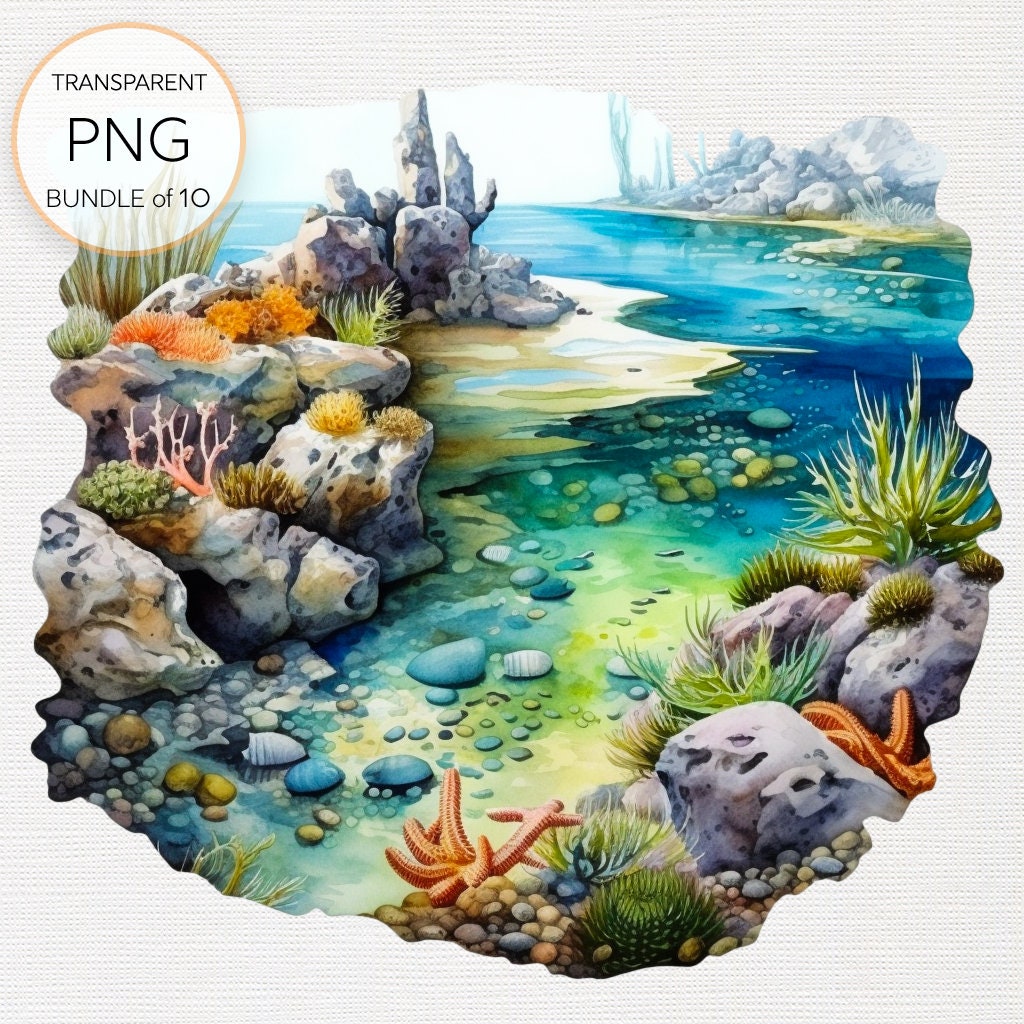 Set of 10 Watercolor Tidepools Clipart Pngs for Coastal Card Making and ...