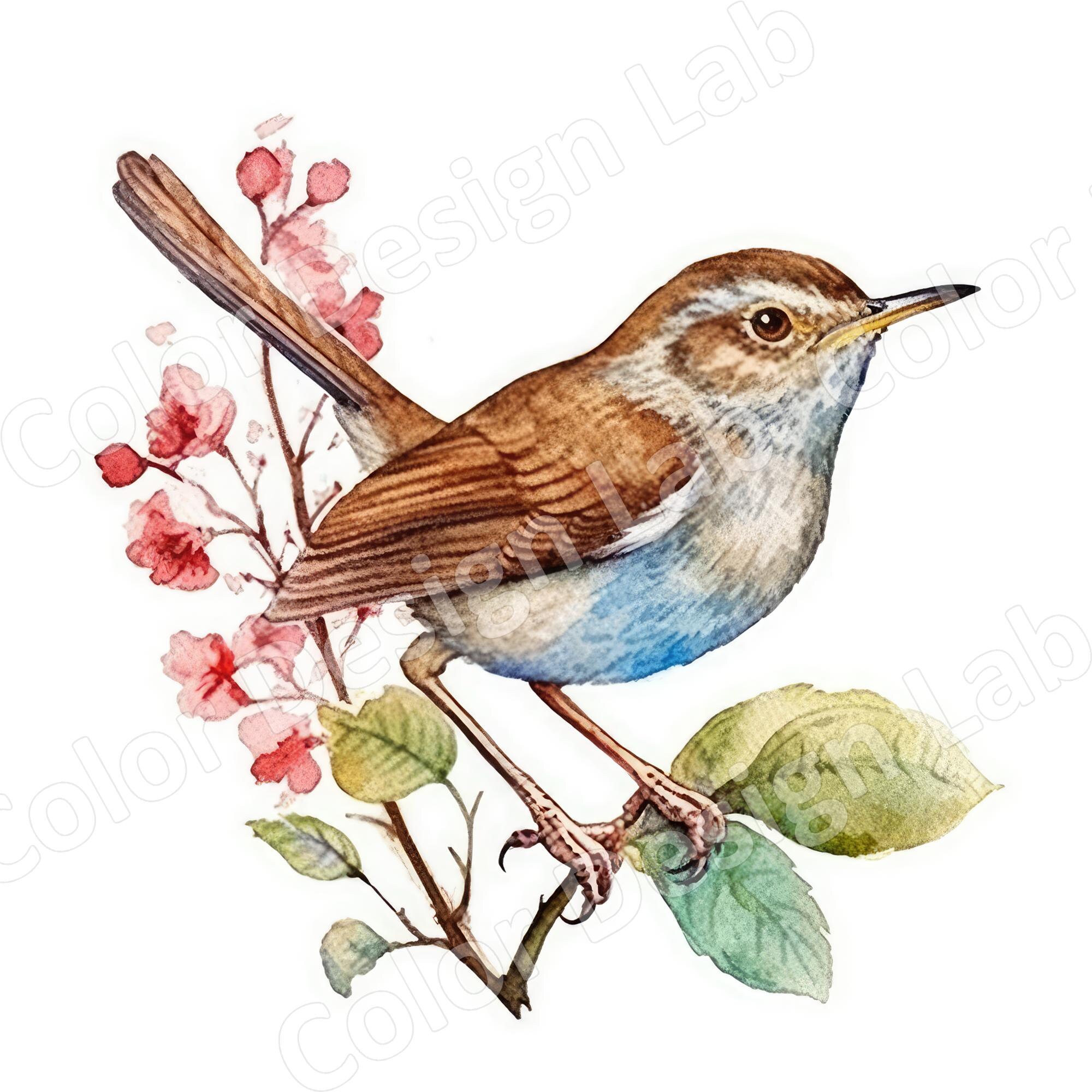 Wren Clipart 8 High-resolution PNG Art Images Digital - Etsy Australia