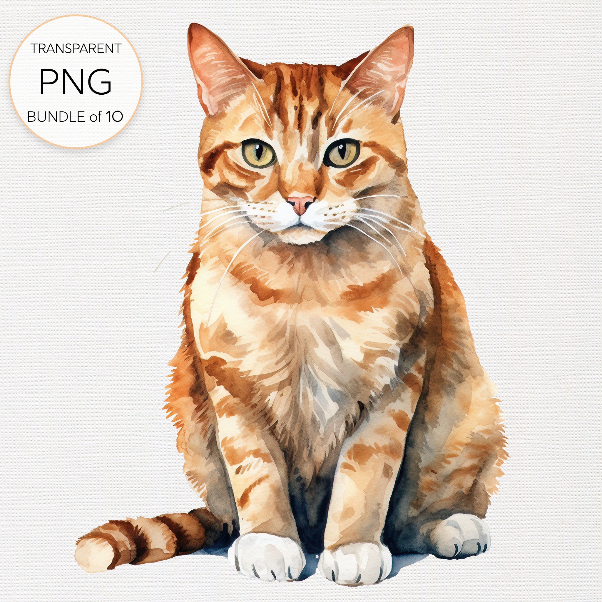 Brown Cat Clipart Image Hand-drawn Furry Feline Design - Etsy