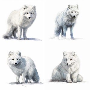 Happy Arctic Fox Clipart - Set of 8 Printable Art PNG, Digital Download ...