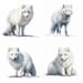 Happy Arctic Fox Clipart Set of 8 Printable Art PNG, Digital Download ...