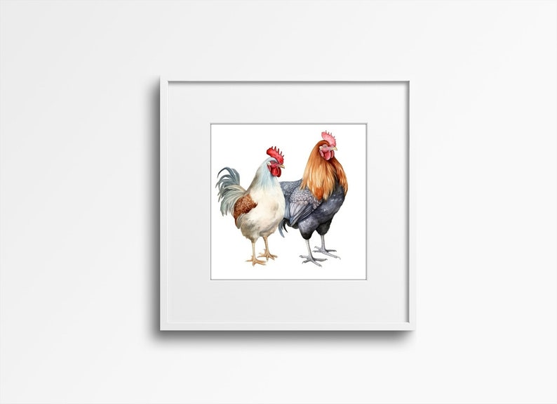 Cockerel Hen Printable Clipart Set 8 High Resolution Images - Etsy