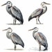 Great Blue Heron Clipart - Set of 8 Printable Art PNG, Digital Download ...