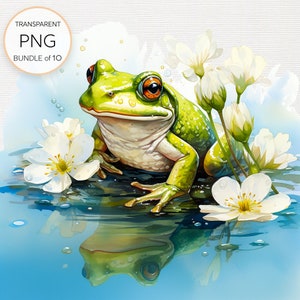 Frog on Lily Pad Clipart - Adorable Amphibian Illustration PNG, Pond ...