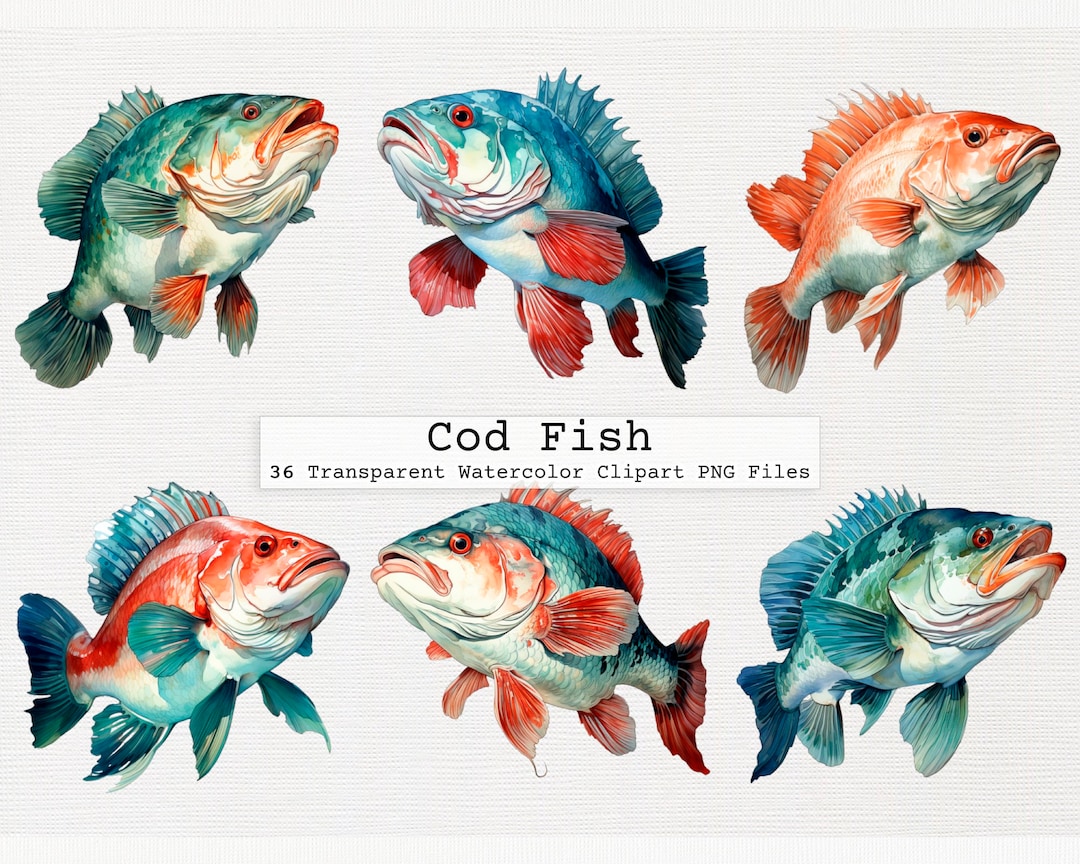 Cod Fish Clipart Bundle of 36 Quality Transparent Watercolor Png ...