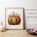 Boho Pumpkin Clipart Bundle of 36 Quality Transparent Watercolor Png ...