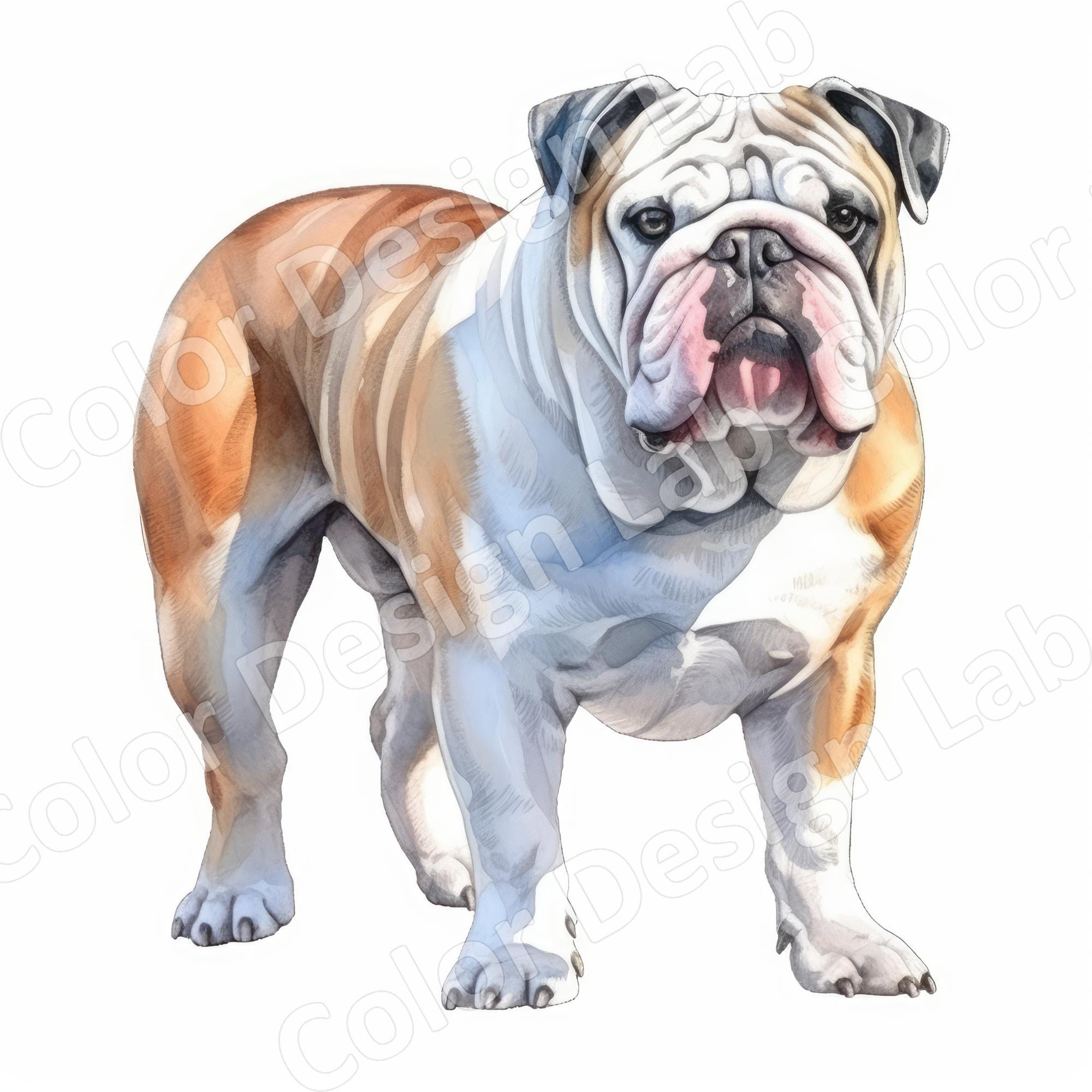 Bulldog Printable Clipart Set 8 High-resolution Pngs of Cute - Etsy