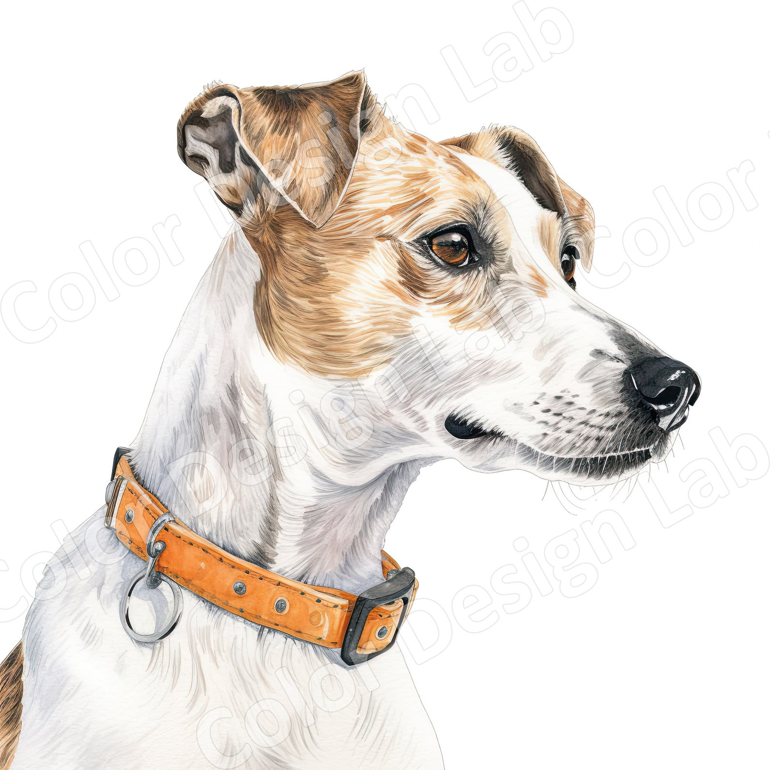 Whippet Clipart Design, Hand-drawn Sighthound Art, Sleek and Athletic ...