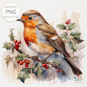 Christmas Robin Clipart: Winter Holiday Charm Vibrant Red-breasted ...