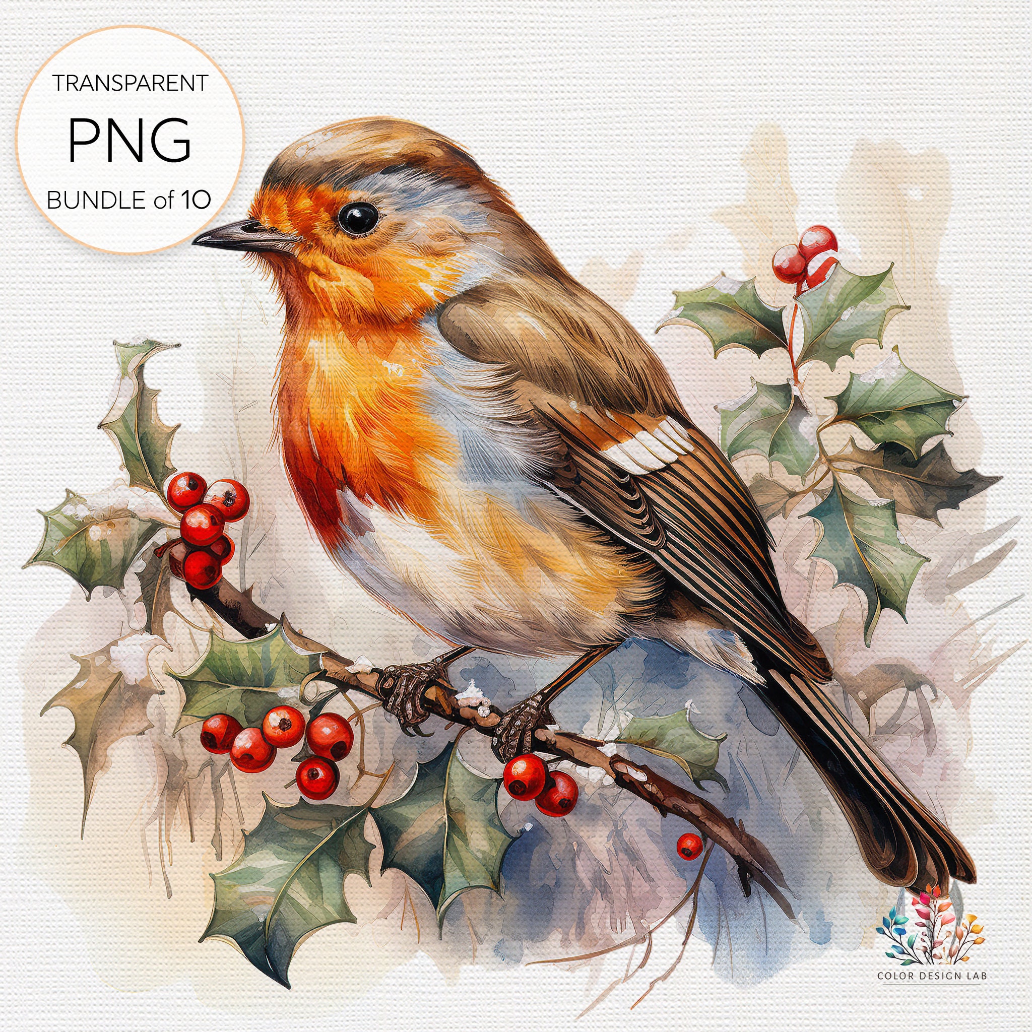 Christmas Robin Clipart: Winter Holiday Charm Vibrant Red-breasted ...