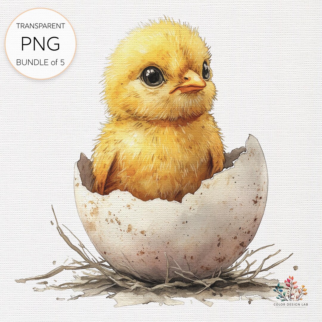 Easter Chick Watercolor Clipart Bundle: Spring Crafts PNG (digital ...