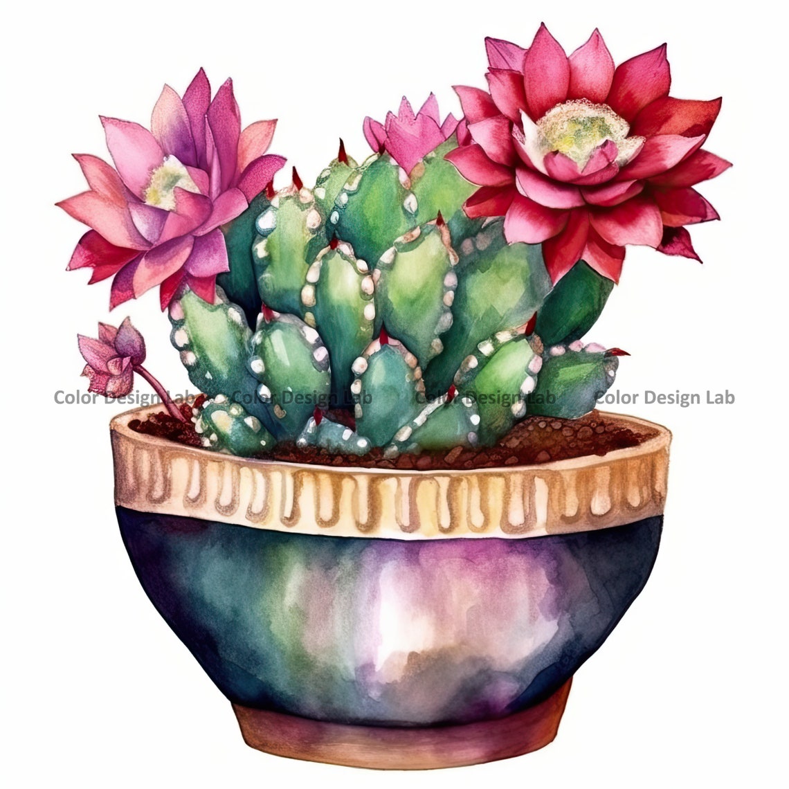 Cactus With Flower Clipart Set of 12 PNG Digital Download - Etsy