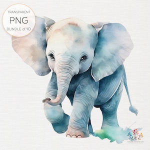Cute Baby Elephant Clipart Collection: Set of 10 Transparent PNG ...