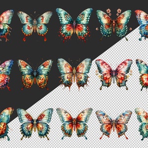 Boho Butterfly Clipart Bundle of 36 Quality Transparent Watercolor Png ...