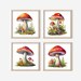 Forest Mushroom Clipart, Set of 8 High-resolution PNG Art Images ...