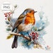 Christmas Robin Clipart: Winter Holiday Charm Vibrant Red-breasted ...