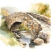 Rustic Stone Bridge Printable Clipart, High-resolution Digital Download ...