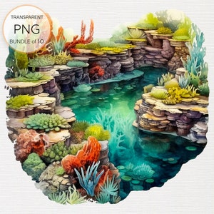 Set of 10 Watercolor Tidepools Clipart Pngs for Coastal Card Making and ...