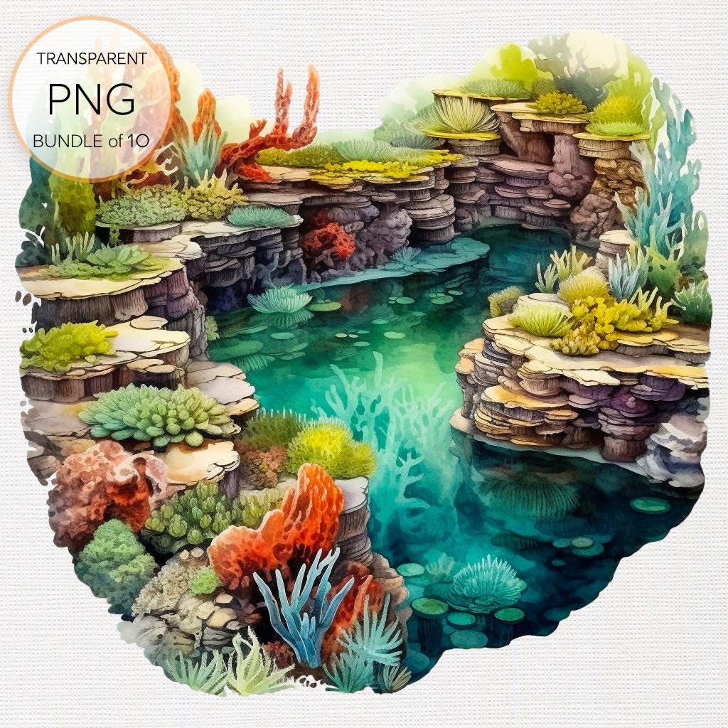 Set of 10 Watercolor Tidepools Clipart Pngs for Coastal Card - Etsy