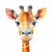 Cute Giraffe Clipart Bundle 8 High-resolution Pngs Digital - Etsy