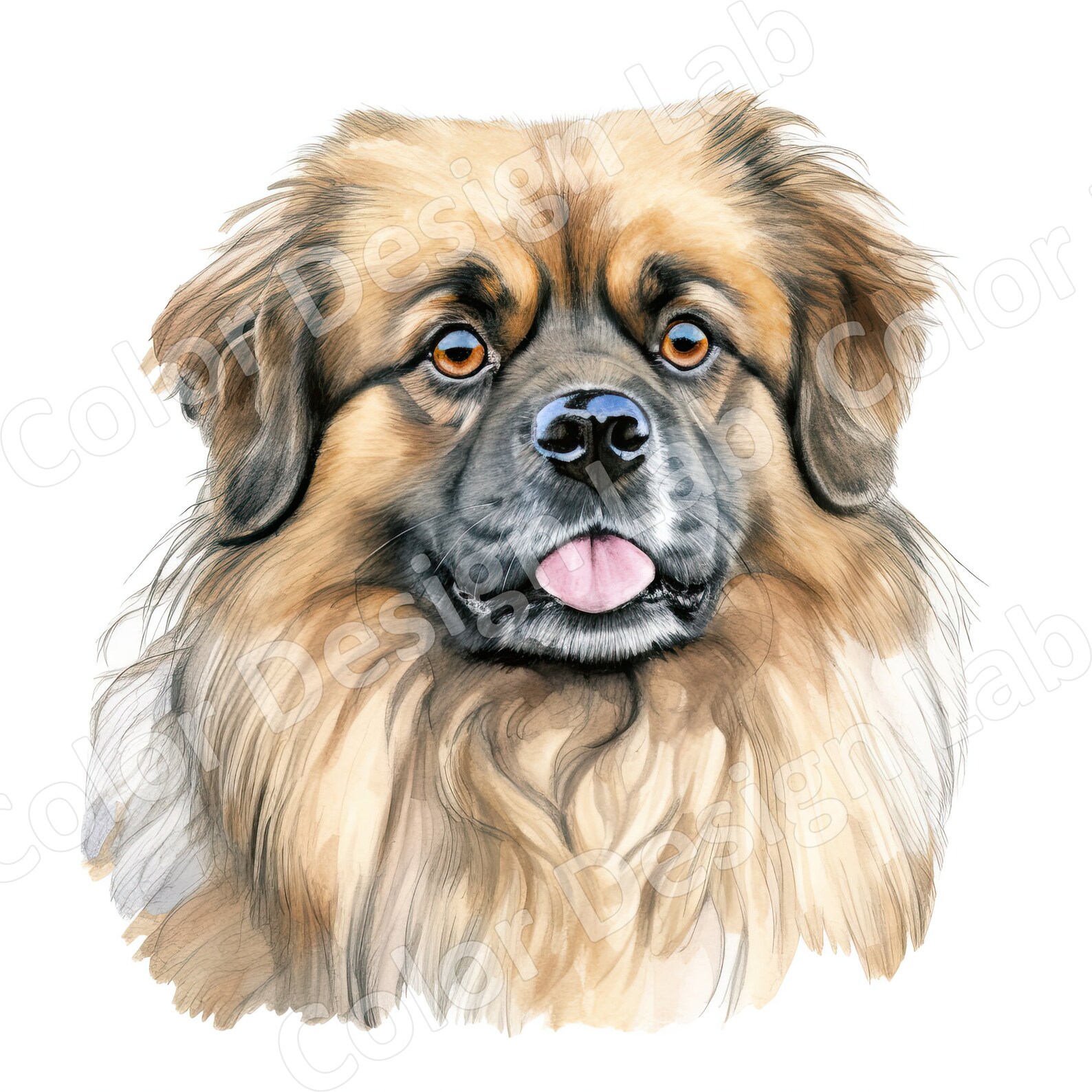 Tibetan Spaniel Clipart Bundle, Mellow Dog Art Set of 8 Digital ...