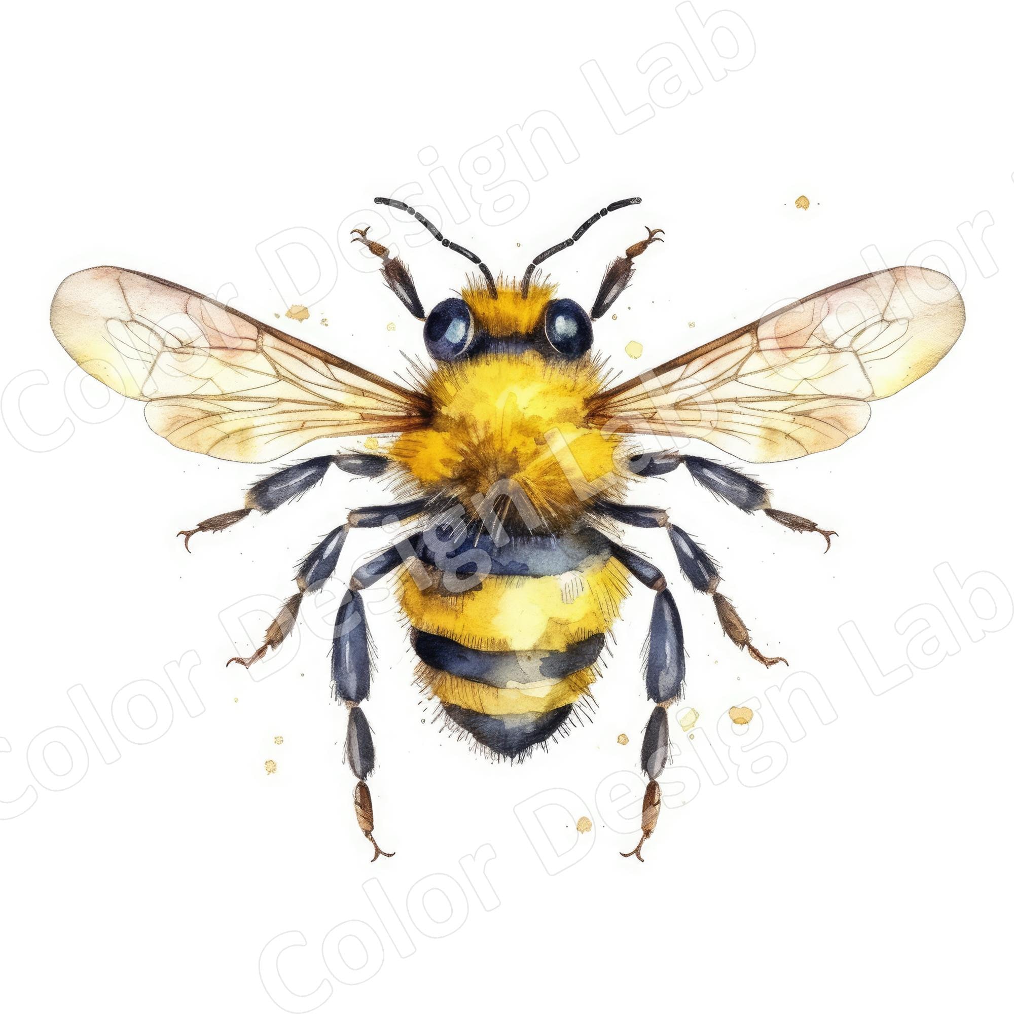 Bumblebee Clipart Set 8 Pngs of Bumbling Bee Digital - Etsy Canada