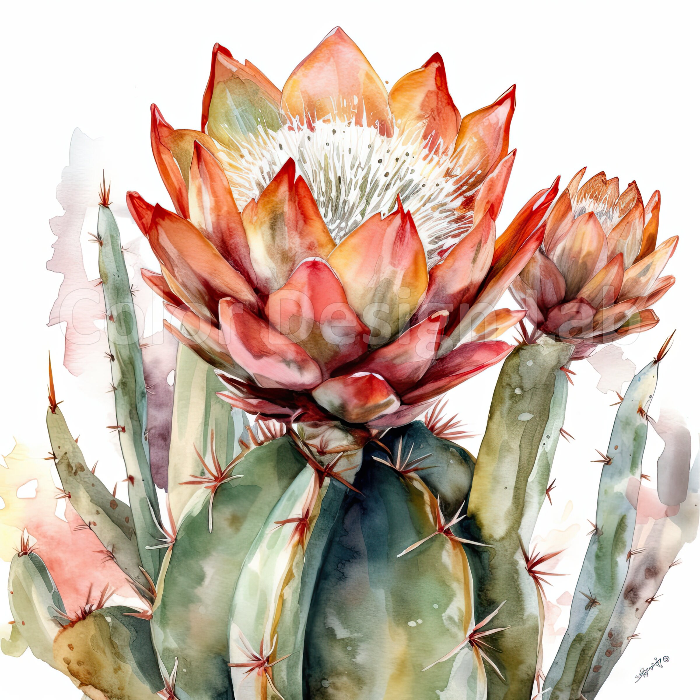 Blooming Cactus Clipart Set of 8 Printable PNG Cactus - Etsy