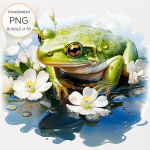 Frog on Lily Pad Clipart - Adorable Amphibian Illustration PNG, Pond ...