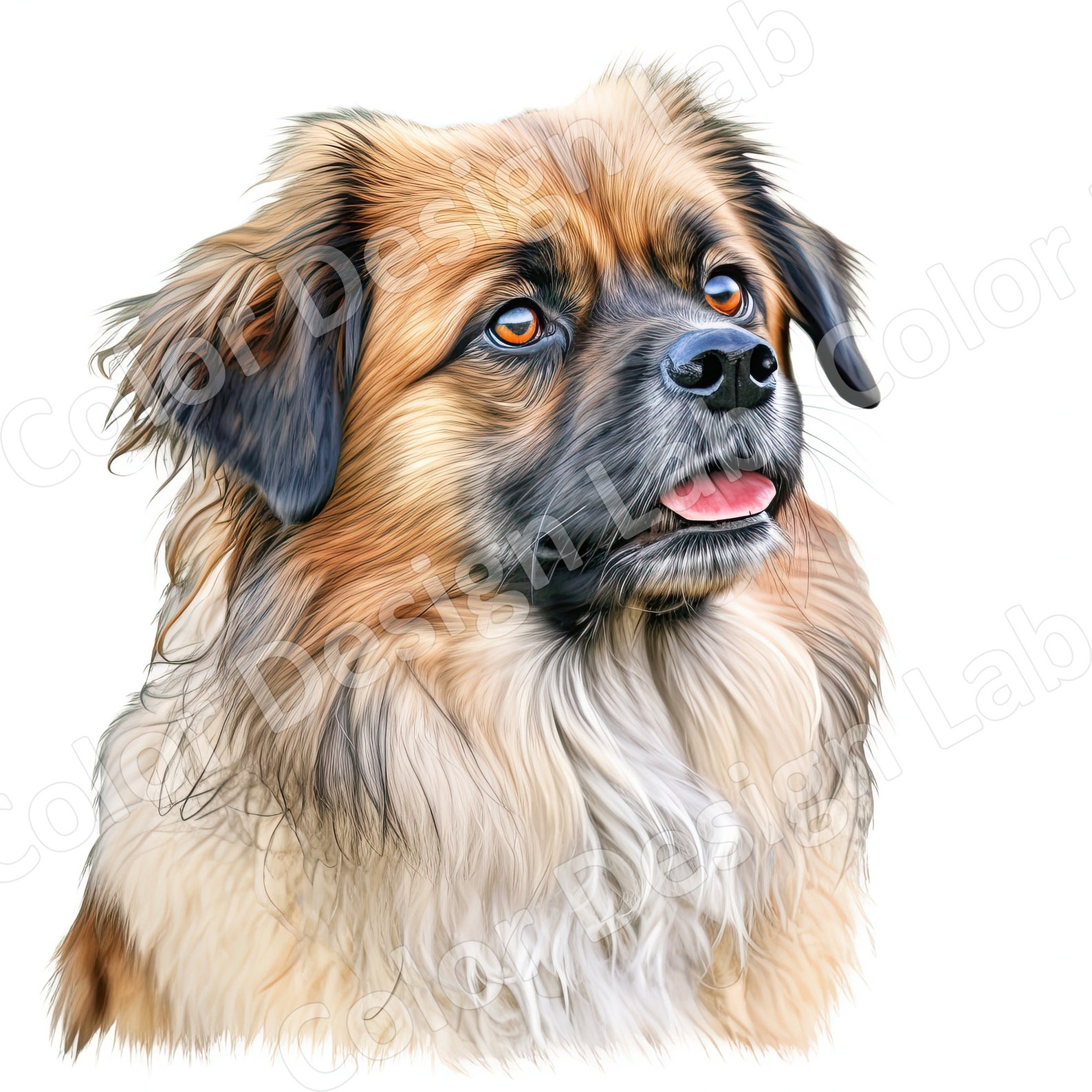 Tibetan Spaniel Clipart Bundle, Mellow Dog Art Set of 8 Digital ...