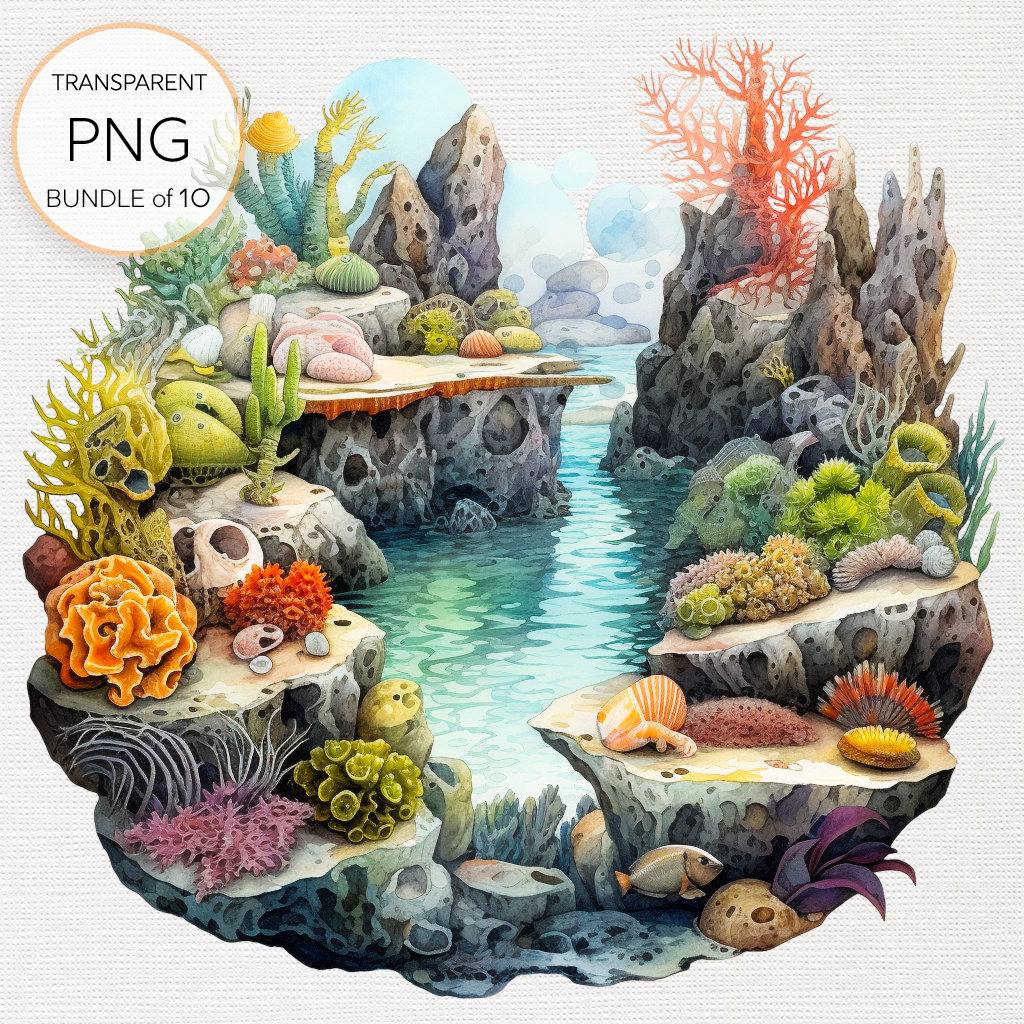 Set of 10 Watercolor Tidepools Clipart Pngs for Coastal Card - Etsy