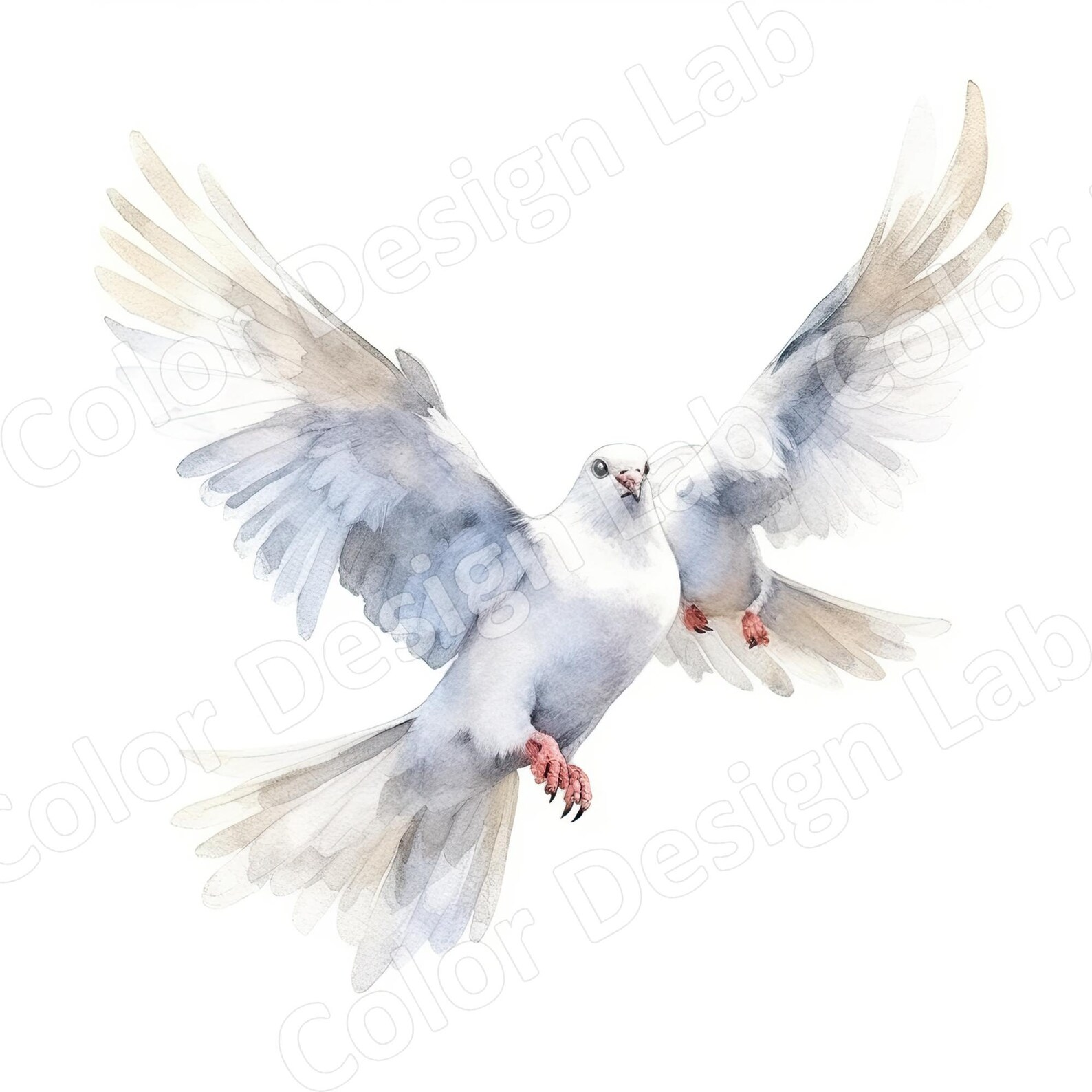 Doves in Flight Printable Clipart Set, 8 High-resolution PNG Images ...