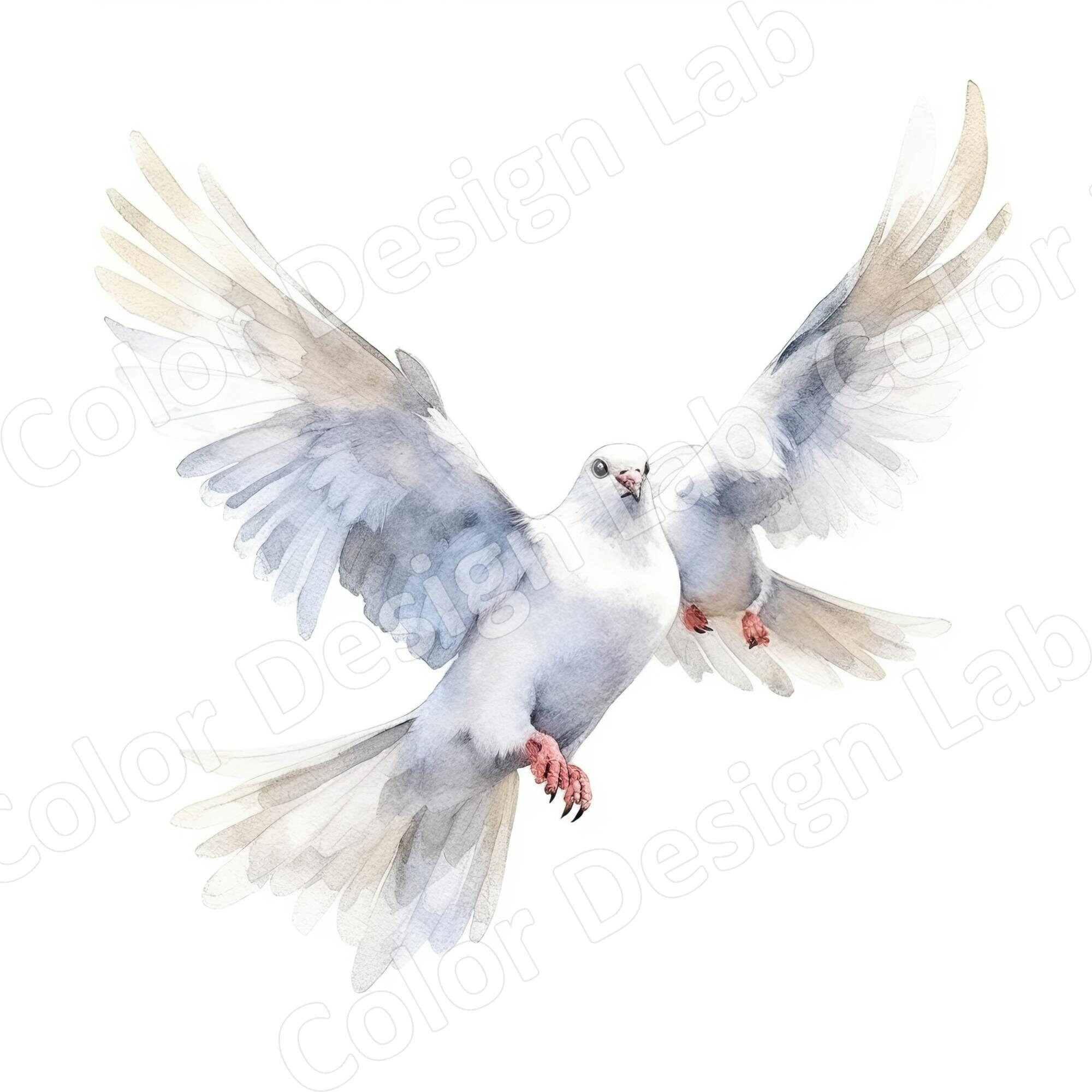 Doves in Flight Printable Clipart Set 8 High-resolution PNG - Etsy