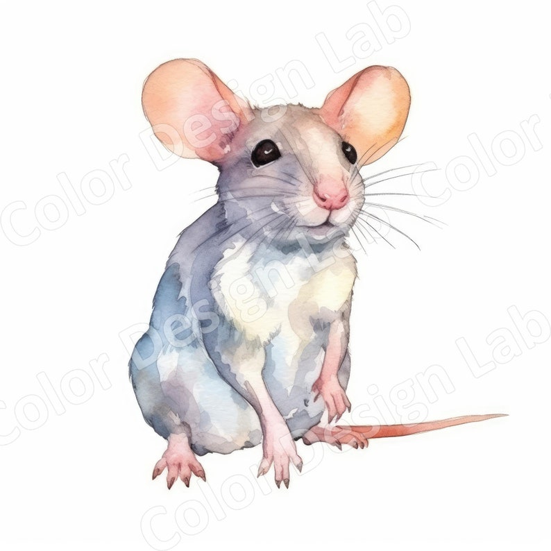 Cute Rat Clipart 8 High Quality PNG Artwork Digital - Etsy