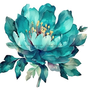 Flower Teal Clipart - Set of 12 High-quality Floral PNG - Digital ...