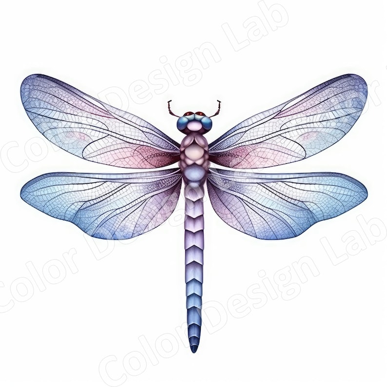 Delicate Dragonfly Printable Clipart Set 8 Pngs Digital - Etsy
