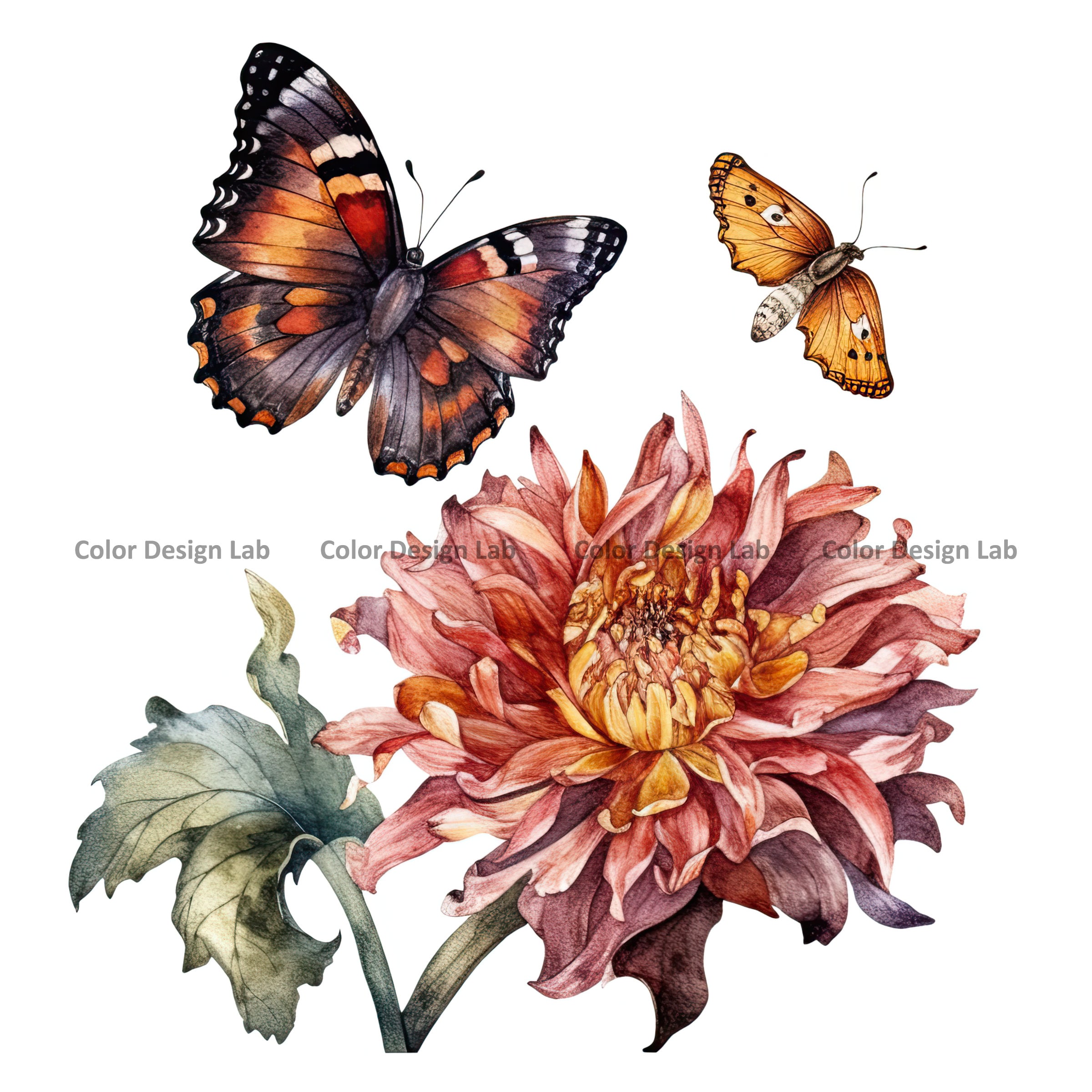 Flower and Butterfly Clipart Set of 12 High-quality Floral - Etsy