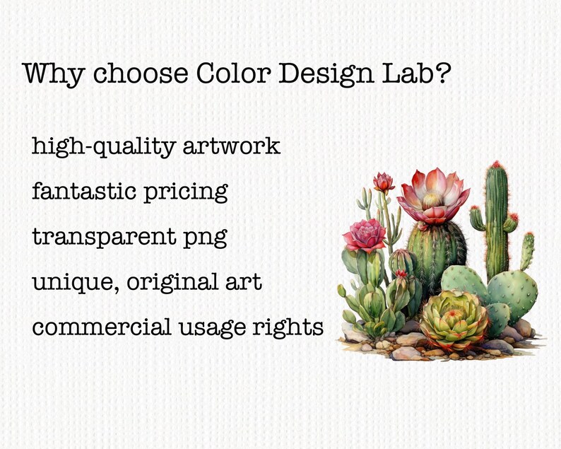 Boho Cactus Clipart Bundle of 36 Quality Transparent Watercolor Png ...