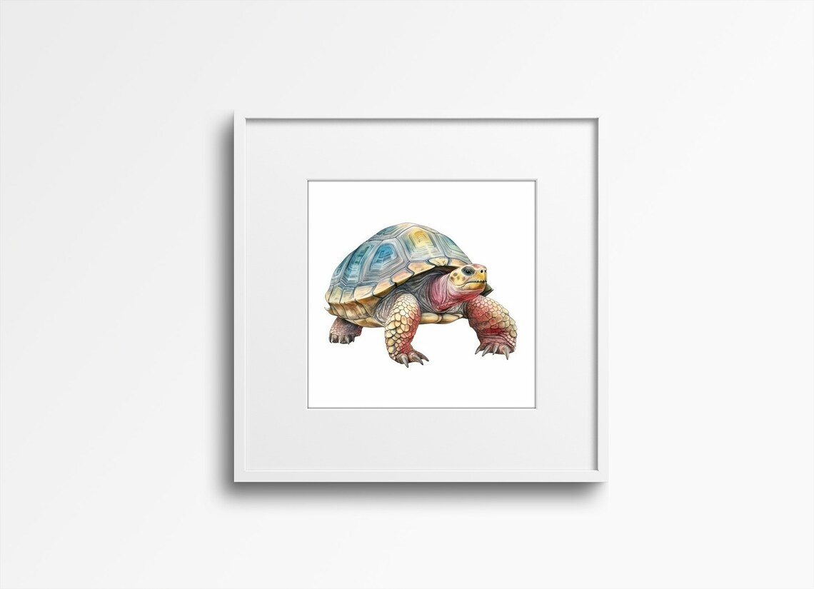 Tortoise Printable Clipart, Set of 8 High-resolution Tortoise Pngs ...