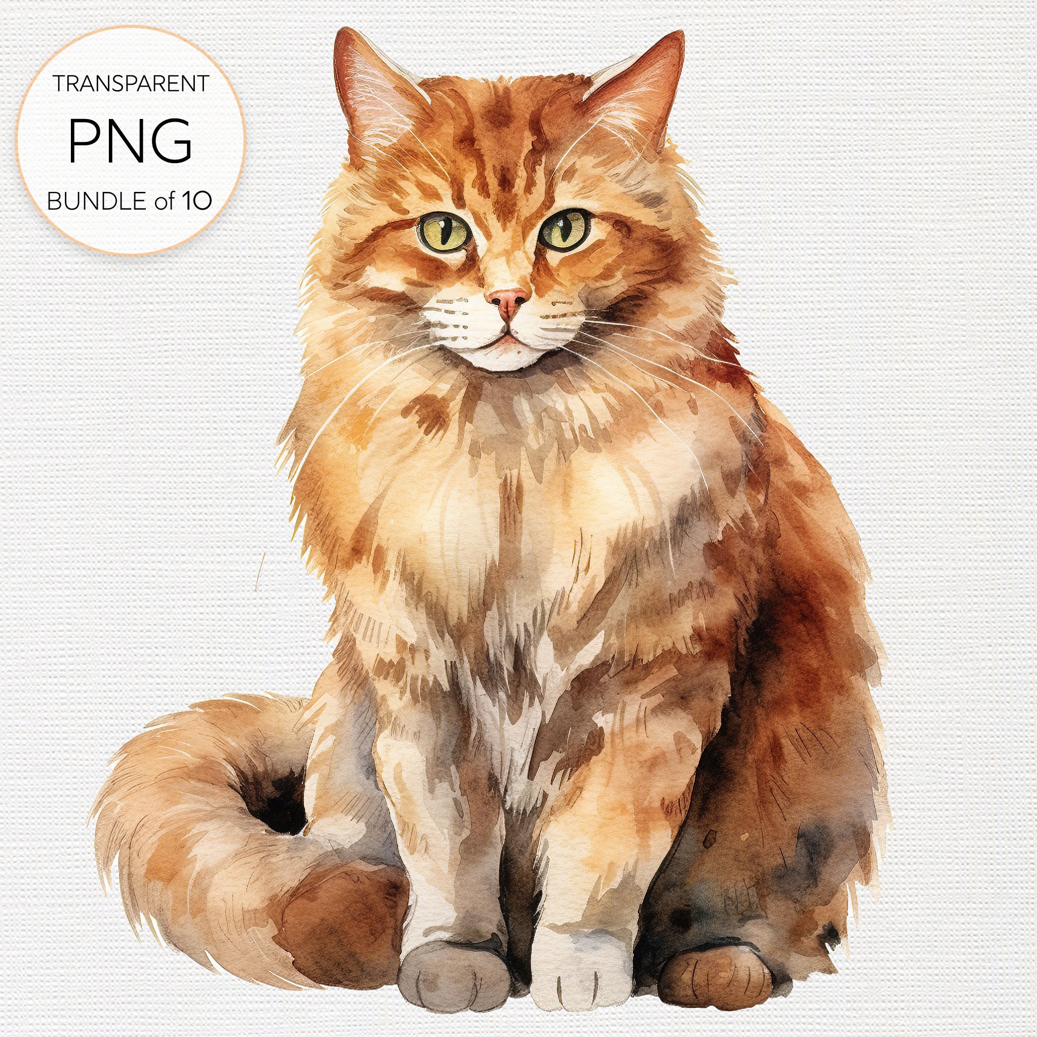 Brown Cat Clipart Image Hand-drawn Furry Feline Design - Etsy