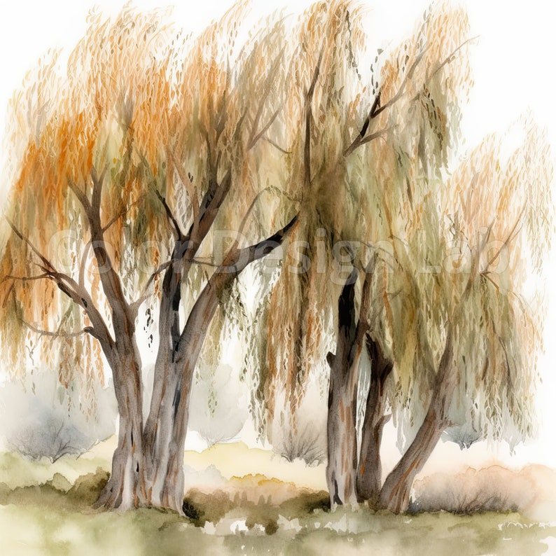 Whispering Willow Trees Clipart Instant Digital Download - Etsy