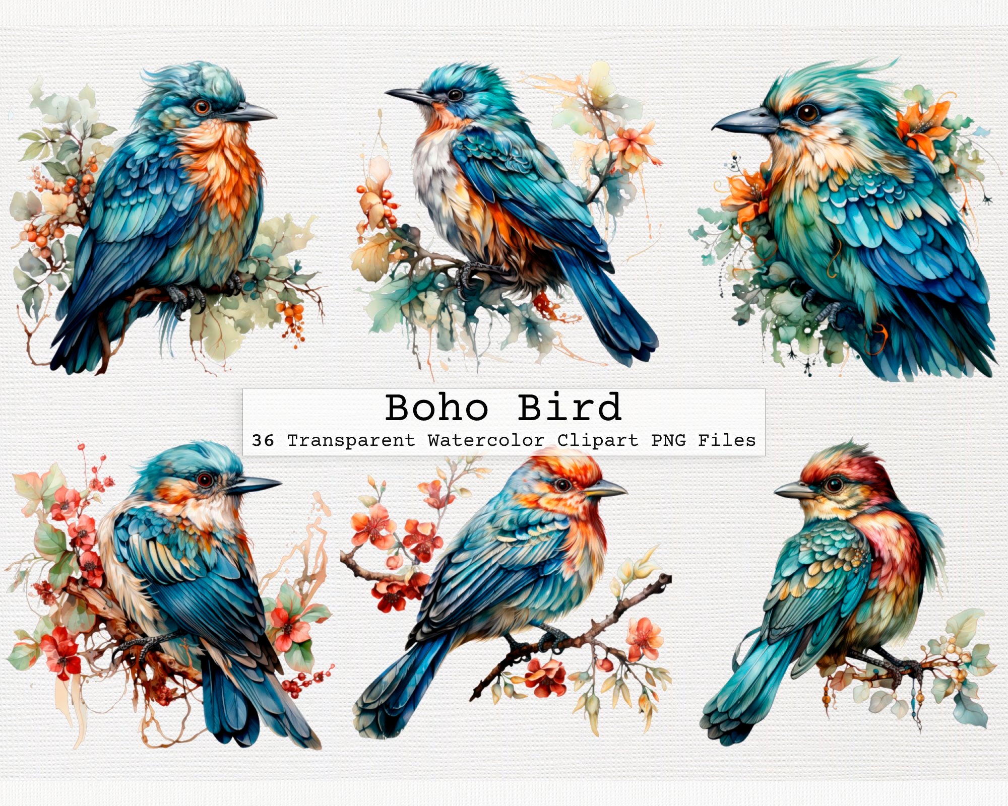 Boho Bird PNG Clipart Image Hand-drawn Artistic Avian Design - Etsy
