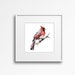Red Cardinal Printable Clipart Set, 8 High-resolution Pngs of the Bird ...
