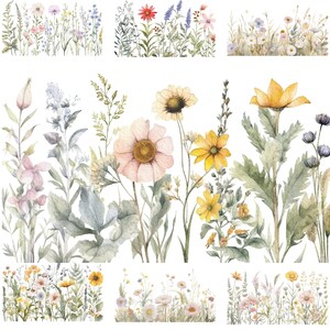Wildflower Border Designs, Floral Borders With Wild Flowers, Watercolor ...