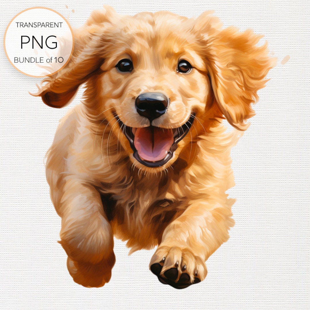 Golden Retriever Puppy Clipart - Set of 10, High-resolution PNG ...