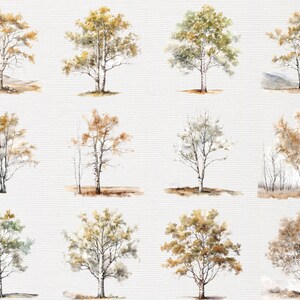Birch Tree Clipart Watercolor Png Birch Tree Forest Commercial License ...