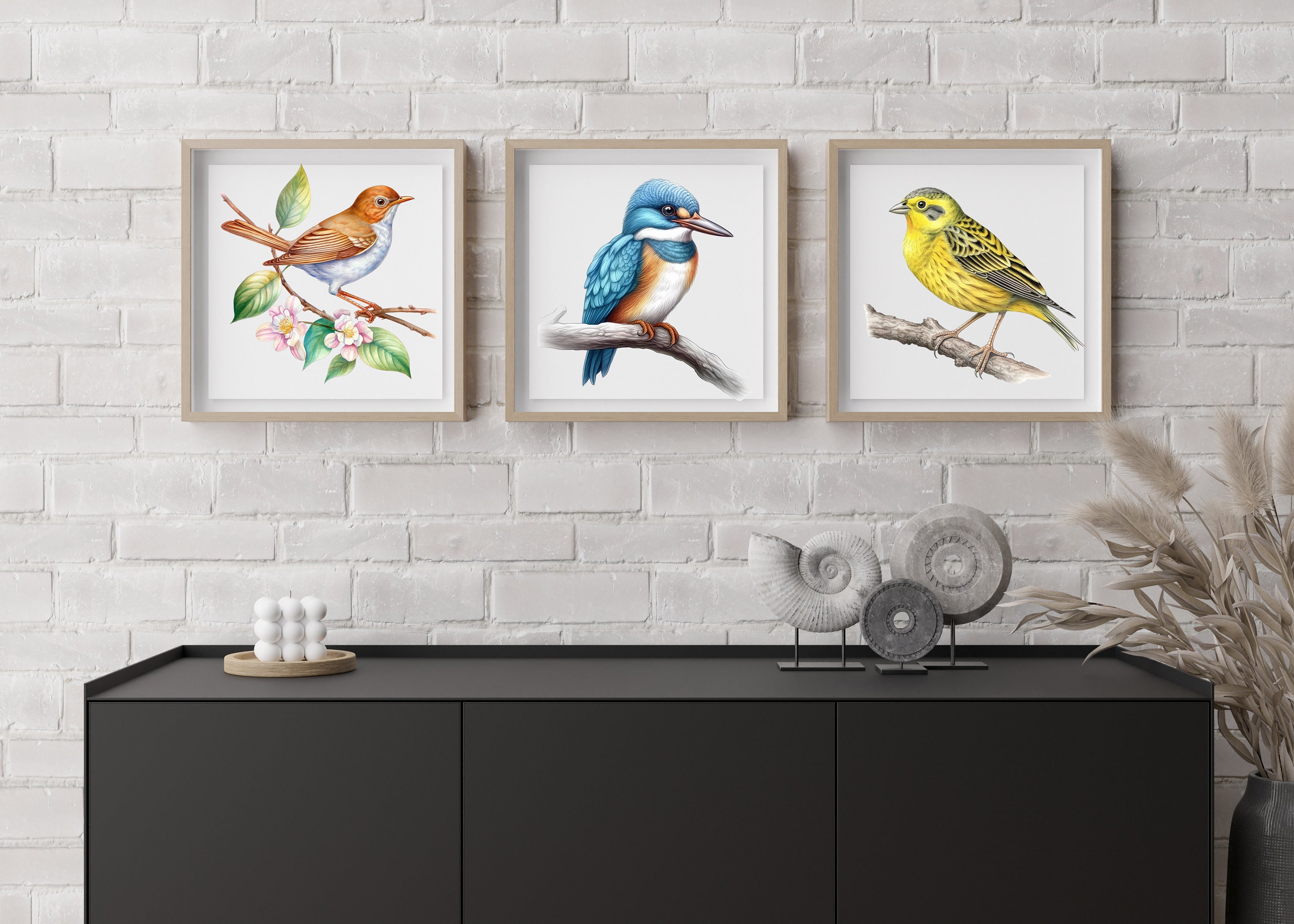 500 Bird Clipart Bundle PNG Images of Birds for Digital - Etsy Canada