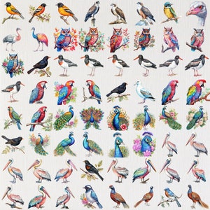 500+ Bird Clipart Bundle PNG Images of Birds for Digital Scrapbooking ...