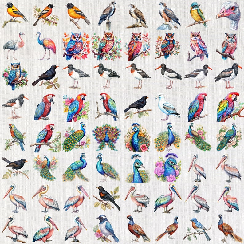 500 Bird Clipart Bundle PNG Images of Birds for Digital - Etsy